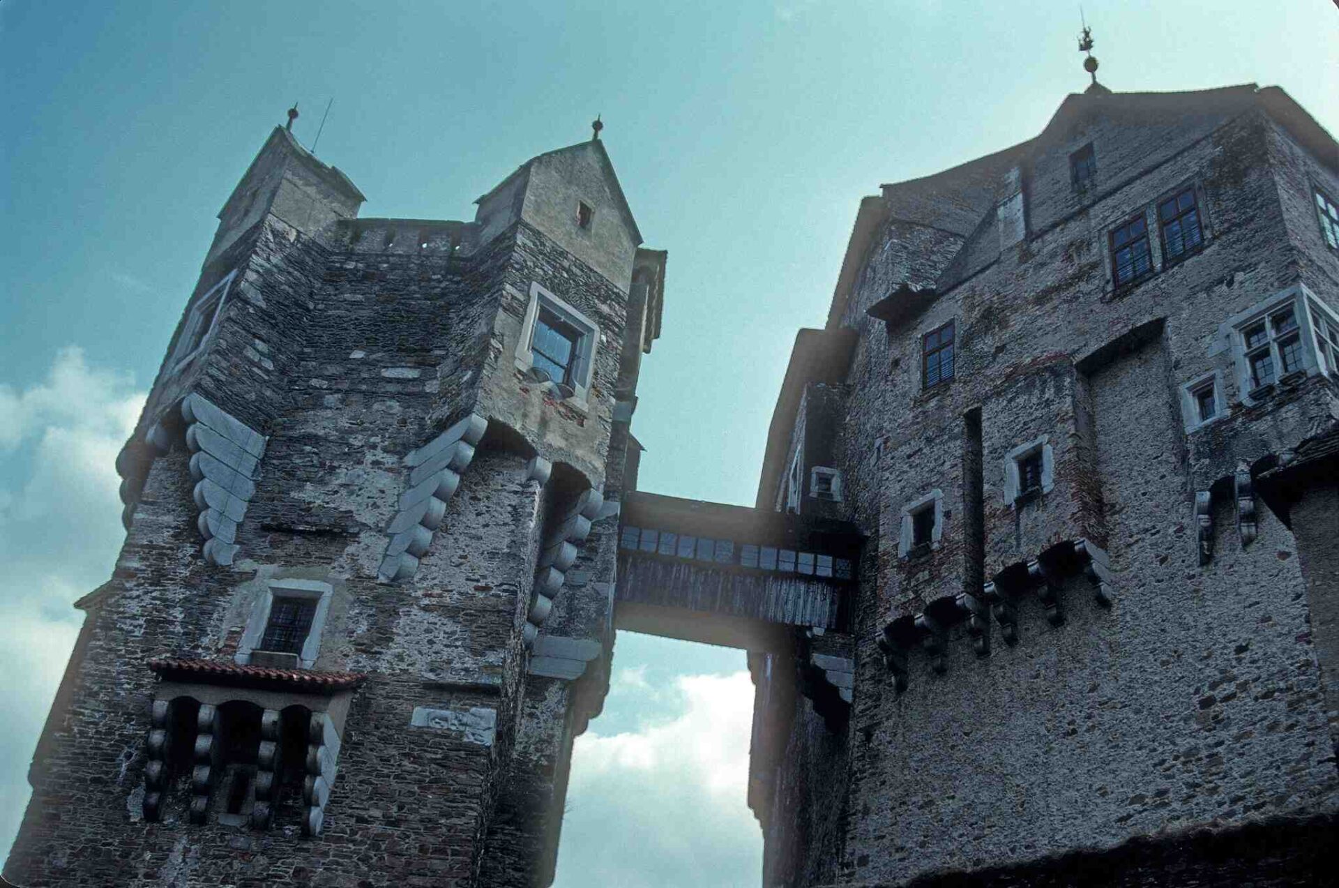 Slovník dnešních puberťáků: Co znamená aura, Ohio, sigma, fake love ...