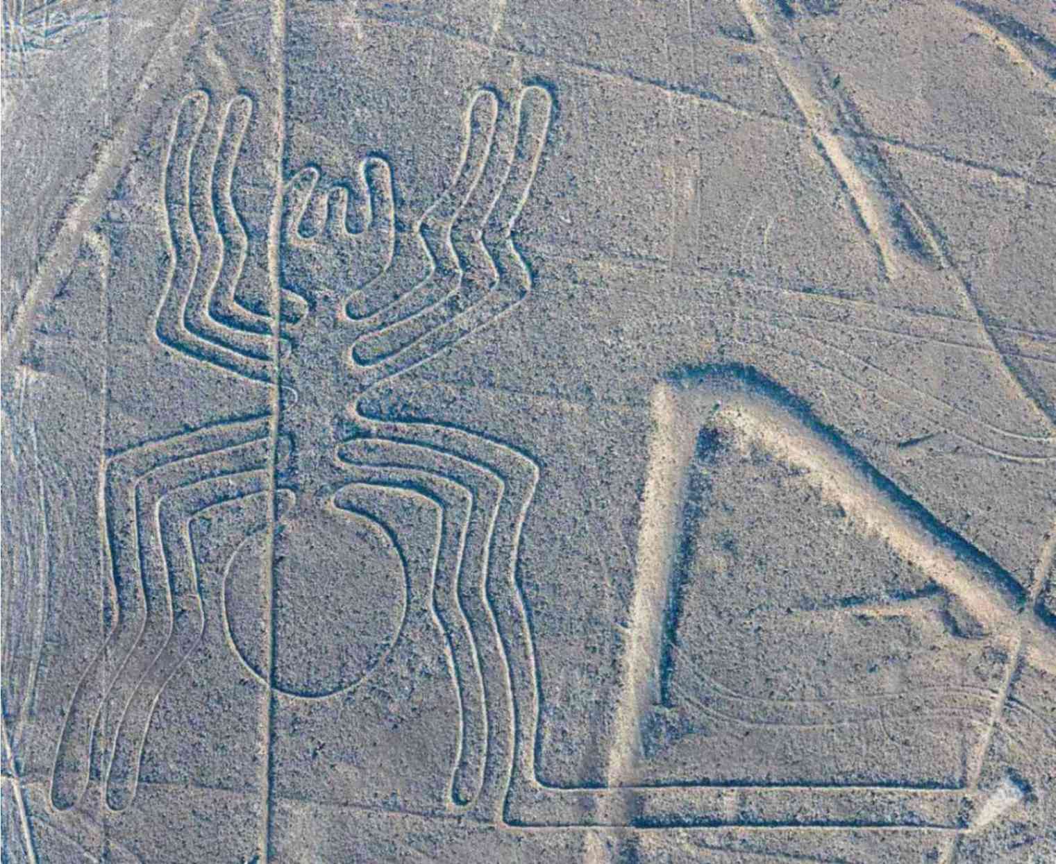 Konec záhady v Nazca? Nové obrazce v Peru ukazují krvavé rituály dávné ...